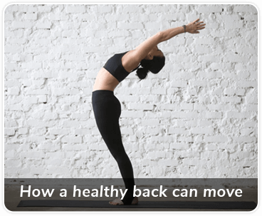 The Back Pain Miracle